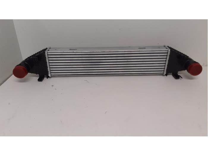 Intercooler Mercedes E-Klasse - 30004596