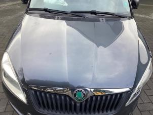 Skoda Fabia Bonnets stock ProxyParts