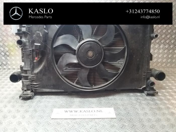 Radiator fan Mercedes A 1.5 A-180 CDI, A-180d 16V - A2465000093 607951