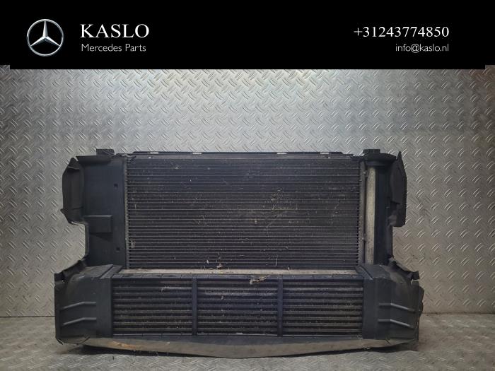Radiator fan Mercedes B 1.8 B-180 CDI BlueEFFICIENCY 16V - A2465000093 ...