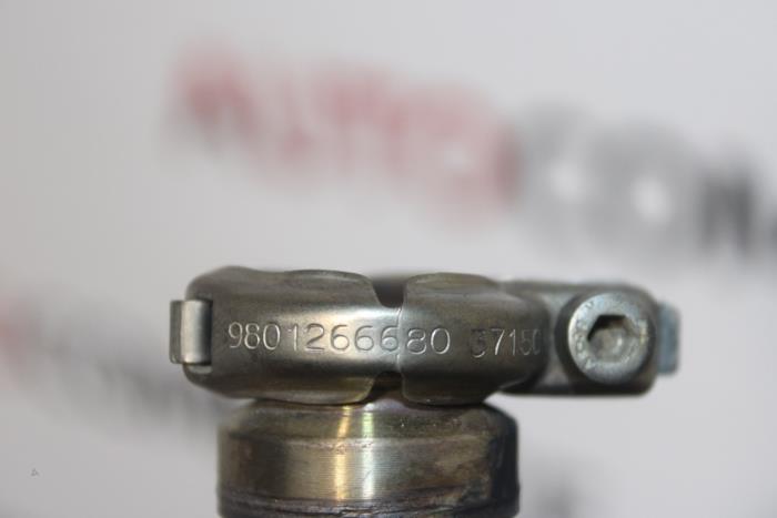 Adblue Injector Citroen C4 Picasso 1.6 BlueHDI 115 - 9801266680 BHX