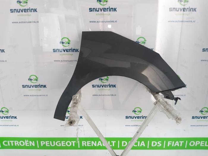 Citroen C3 09- Ailes avant droite stock | ProxyParts.fr