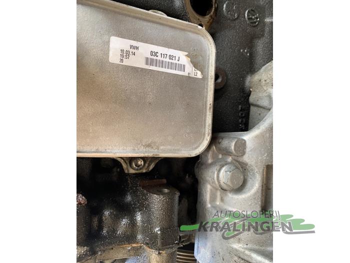 Engine Volkswagen Golf V 1.4 GT 16V - 00BLG BLG