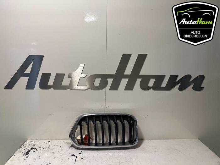 Grille BMW X2 sDrive 16d 1.5 12V - 51137424778 - AutoHam