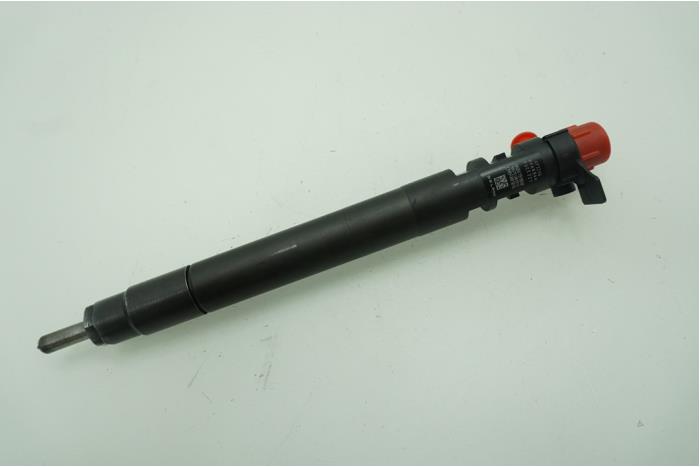 Injector (diesel) Citroen Jumpy 2.0 HDiF 16V 163 - 9686191080 RH02 DELPI