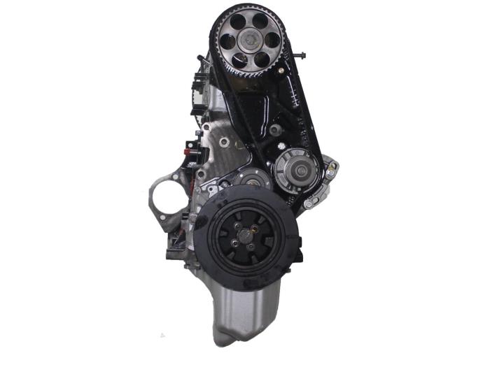 Engine Volkswagen Transporter T5 - AXD - VEGE Benelux B.V.