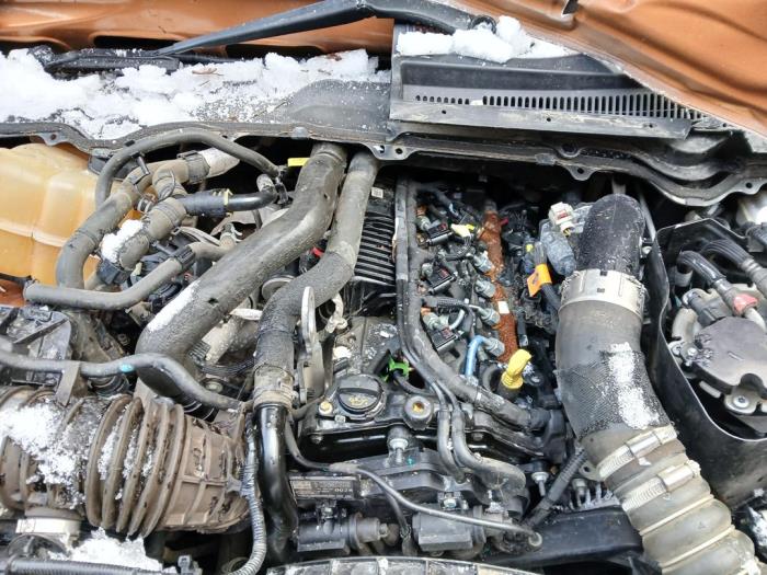 Engine Ford Ranger 2.0 Ecoblue 16v 4x4 - T20dd0j