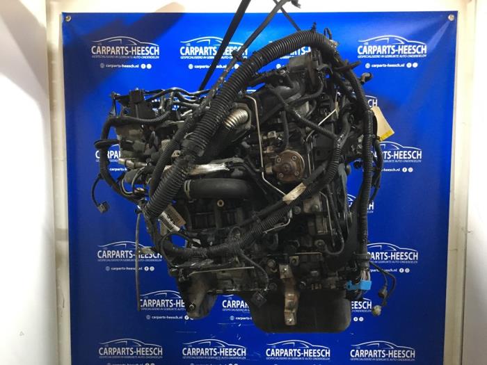 Ford Focus 16 Tdci Probleme